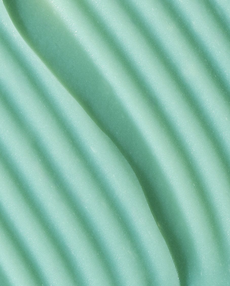 Intense Hydration CACTUS MOISTURIZER – Bambu Earth
